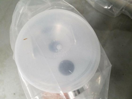 Millipore Filter Housing Series 3000 Medical Pharmaceutical in ...