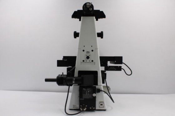 Fluorescence Imaging