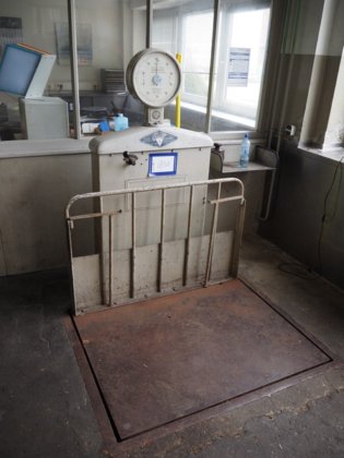 Bizerba Floor weighing scale in Dissen, Germany