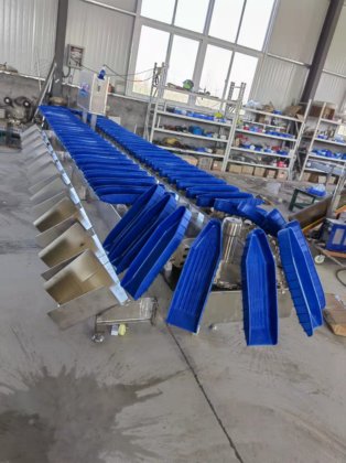 Fish Grading Machine Tilapia Graders Fish Sorting Machine Anchovy ...