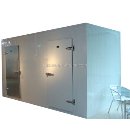 cold storage container cold room/modular cold room cold storage/cheese ...