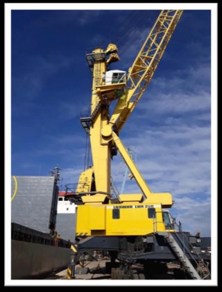 Liebherr LHM 250 Crane