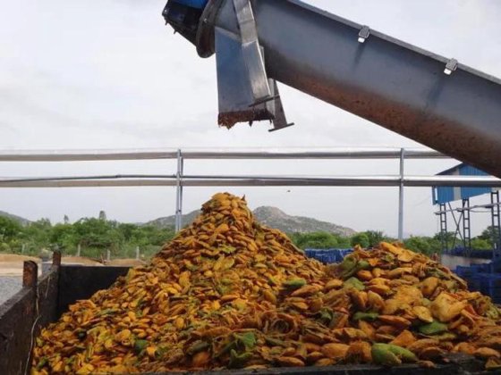 2024 fruit processing machine turnkey project mango juice/mango pulp ...