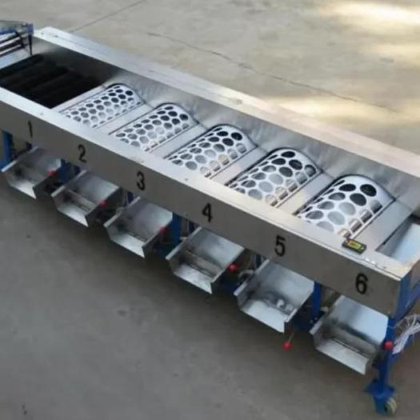 genyond Fruit blueberry sorting grading equipment machine in Shanghai ...