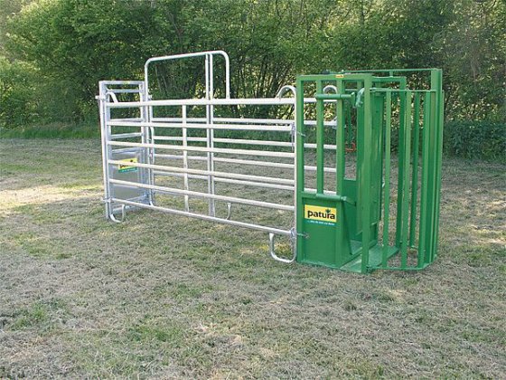 New neck catcher Patura A 3000, catcher stand, cattle, cattle in ...