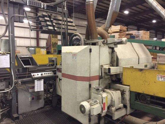 Mereen Johnson 441 Rip Saw with Cameron Automation Infeed in USA