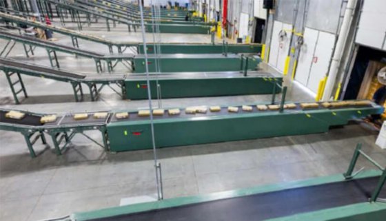 Extendables & Flexible Conveyors in Morrisville, NC, USA