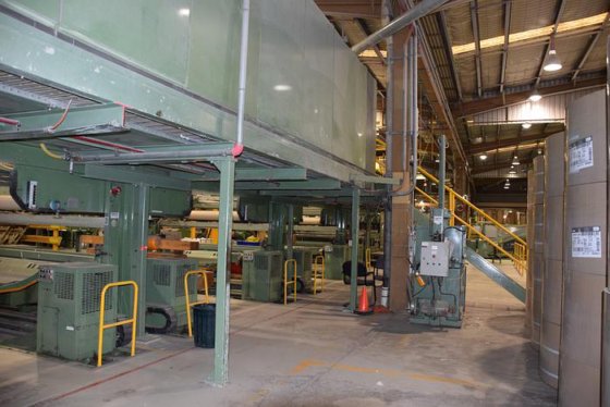 ECH WILL CUT SIZE LINE in Europe