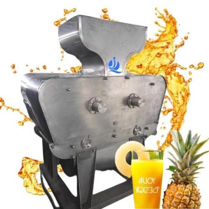 2024 Pineapple juice processing machine Turnkey project customizable complete pineapple/nanas ...