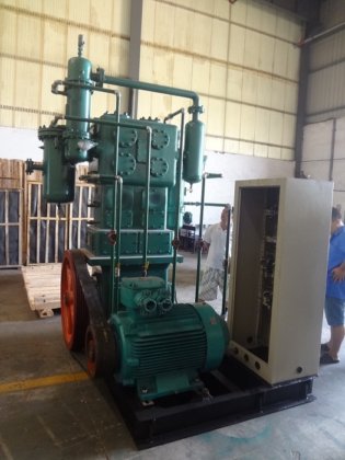 Non-lubrication CO2 compressor Carbon Dioxide Piston Compressors in ...