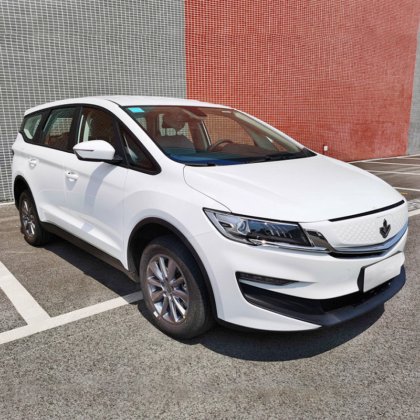 China Ternary Lithium Maple Leaf 80V EV Car Electric Vehicle For Geely ...