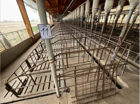 32-place iron gestation cages in Buenos Aires, Argentina