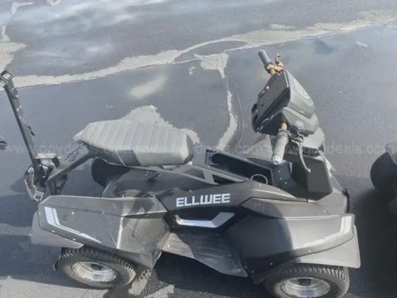 Ellwee Electric Golf Cart - Multipurpose Golf Vehicle in Springboro, OH ...