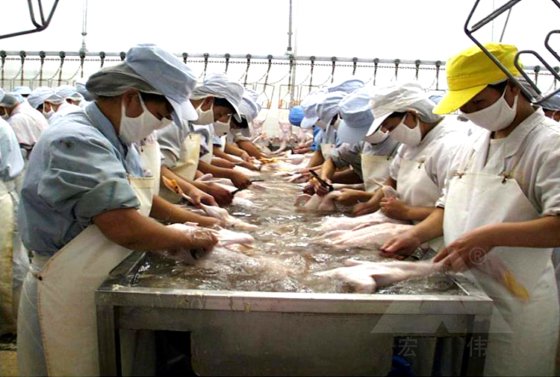 abattoir equipment slaughterhouse for rabbit slaughterhouse line plant ...