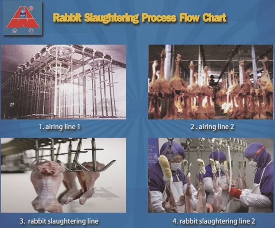 abattoir equipment slaughterhouse for rabbit slaughterhouse line plant ...