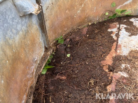 Fodder hedge with roof in Kalmar County, Sweden