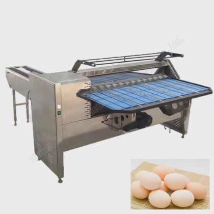 Chicken Egg Grader Machine Egg Scale Egg Grader Duck Egg Grader Egg ...
