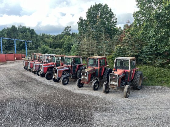 Massey Ferguson 175 in Aarup, Denmark