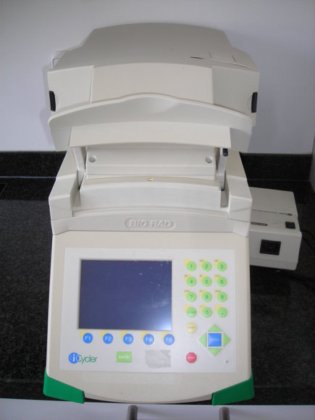 BioRad icycler iQ real time PCR System in Selm, Germany