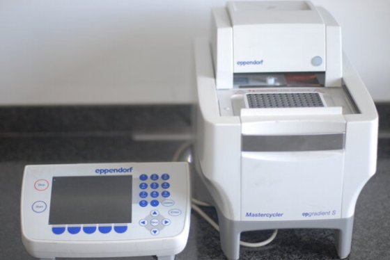 Eppendorf Mastercycler ep Gradient S PCR/Thermalcycler in Selm, North ...