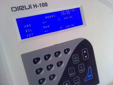 DIRUI H-100 in Przeźmierowo, Greater Poland, Poland