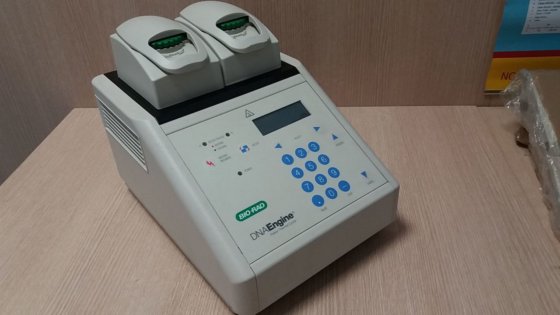 BIO-RAD DNA ENGINE PTC200 in Przeźmierowo, Poland