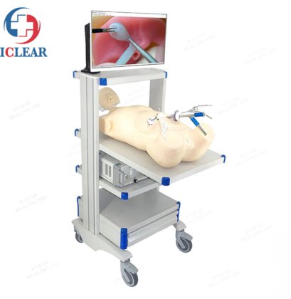 High Simulation Thoracoscopy, Laparoscopy, Hysteroscopy Integrated ...