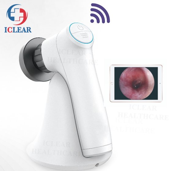 Mini Ent Endoscopy Camera System Handheld Digital Endoscope Camera ...