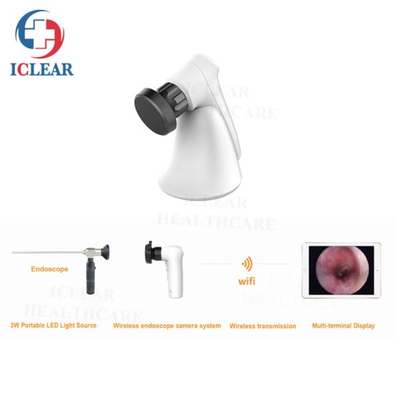 Mini Ent Endoscopy Camera System Handheld Digital Endoscope Camera ...