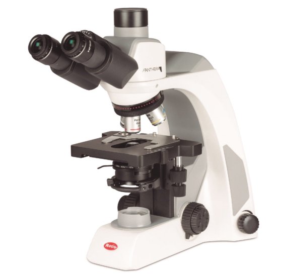 Panthera E2 phase contrast compound microscope with camera package (NEW ...