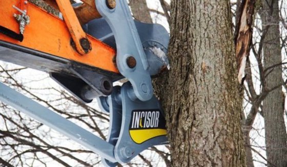 2020 Bauma Light Incisor Tree Limb Shear in Duncan, British Columbia ...