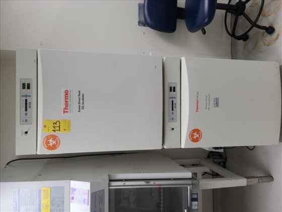 Thermo Scientific double-stack forma direct heat CO2 incubators in ...
