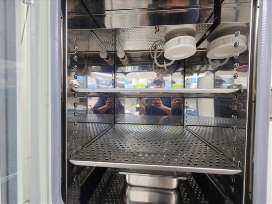 Thermo Scientific double-stack forma direct heat CO2 incubators in ...