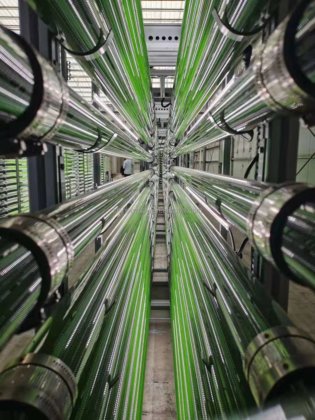 Algae cultivation pipeline photobioreactor in Liaoning, China