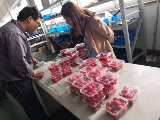 Automatic cherry weighing packing system packing into clamshell punnet ...