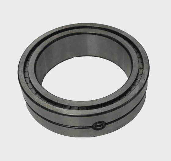 DOUBLE ROW CYLINDRICAL ROLLER BEARING W/ FIXED SIDE INA 72/N SL01-4924 ...