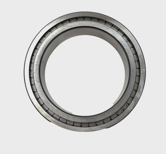 DOUBLE ROW CYLINDRICAL ROLLER BEARING W/ FIXED SIDE INA 72/N SL01-4924 ...