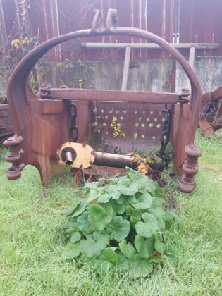 Creeping Buckets in Modena, Italy