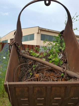 Creeping Buckets in Modena, Italy