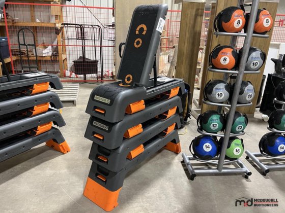 (4) Escape Deck 2.0 Aerobic Step/Bench in Emerald Park, Saskatchewan ...