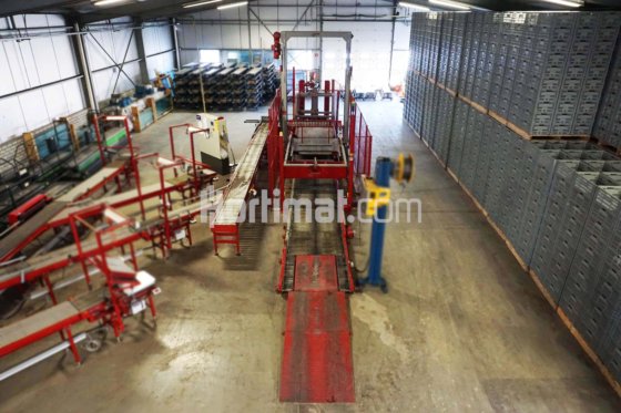 Gebruikte Taks Plaatpalletiseerder + pallet-afvoerbaan + pallet bunker ...