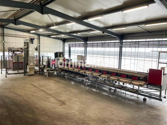 Taks/Aweta/Sorma Complete pepper unloading, grading and palletizing ...