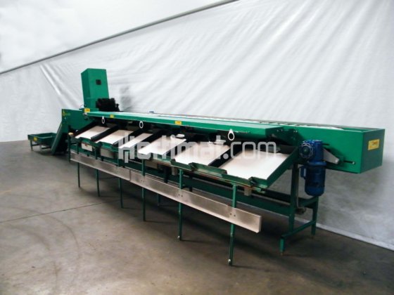 Greefa MSE 2000 2-6 Pepper grading machine in Monster, Netherlands