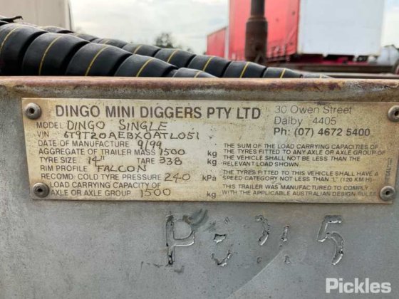 1999 Dingo in Spring Farm, New South Wales, Australia