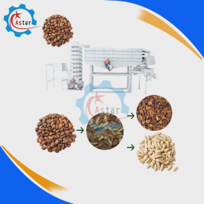 Sunflower Seed Hulling Machine /Sunflower Seeds Huller in Chongqing, China