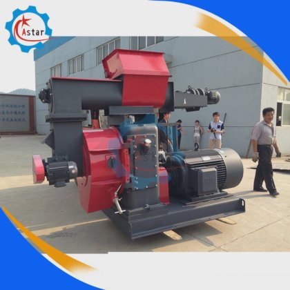 Industrial Use Bamboo Pellet Mill Machine in Chongqing, China