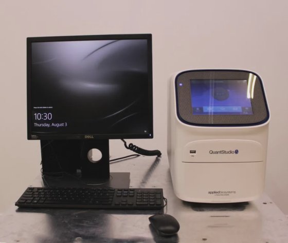 Applied Biosystems Applied Biosystems QuantStudio 5- Real Time PCR in ...