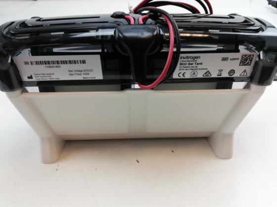 Thermo Scientific Mini Gel Tank A25977 in Waddinxveen, Netherlands
