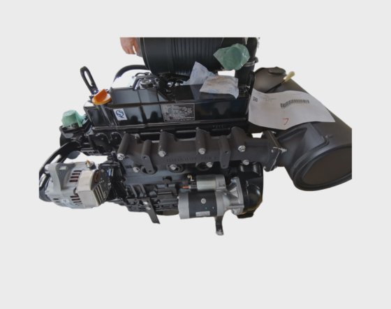 Yanmar Diesel Engines 3tnv76 for Wheel Excavator in Fujian, China