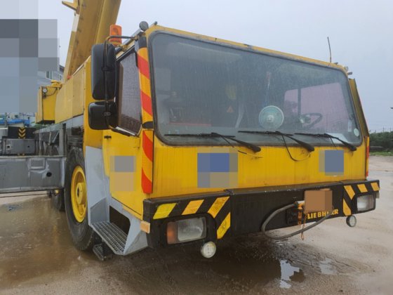 1994 LIEBHERR LTM1225 in Gyeonggi-do, South Korea